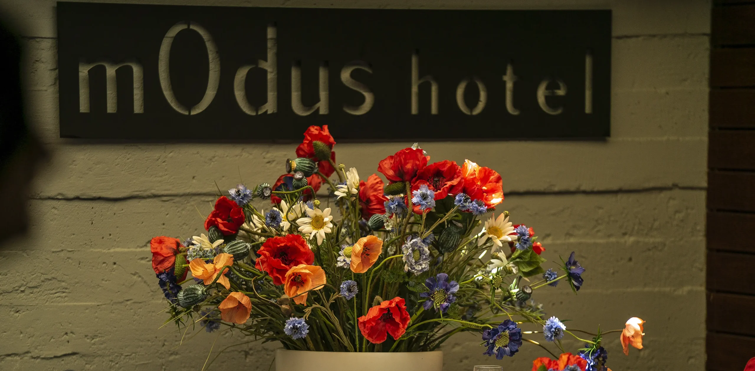 mOdus Restaurant - Varna Eye